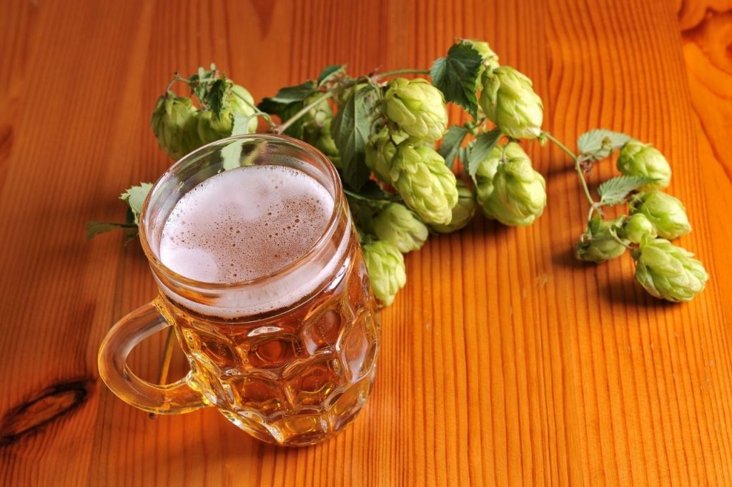 Galaxy Hop Substitute: The Only Guide You Will Ever Need