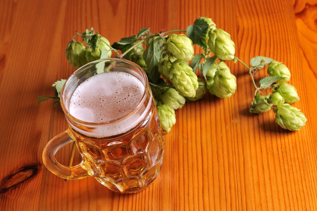 Galaxy Hop Substitute: The Only Guide You Will Ever Need