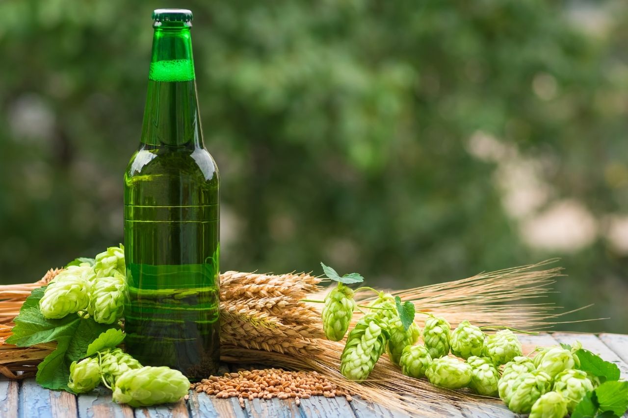 Galaxy Hop Substitute: The Only Guide You Will Ever Need