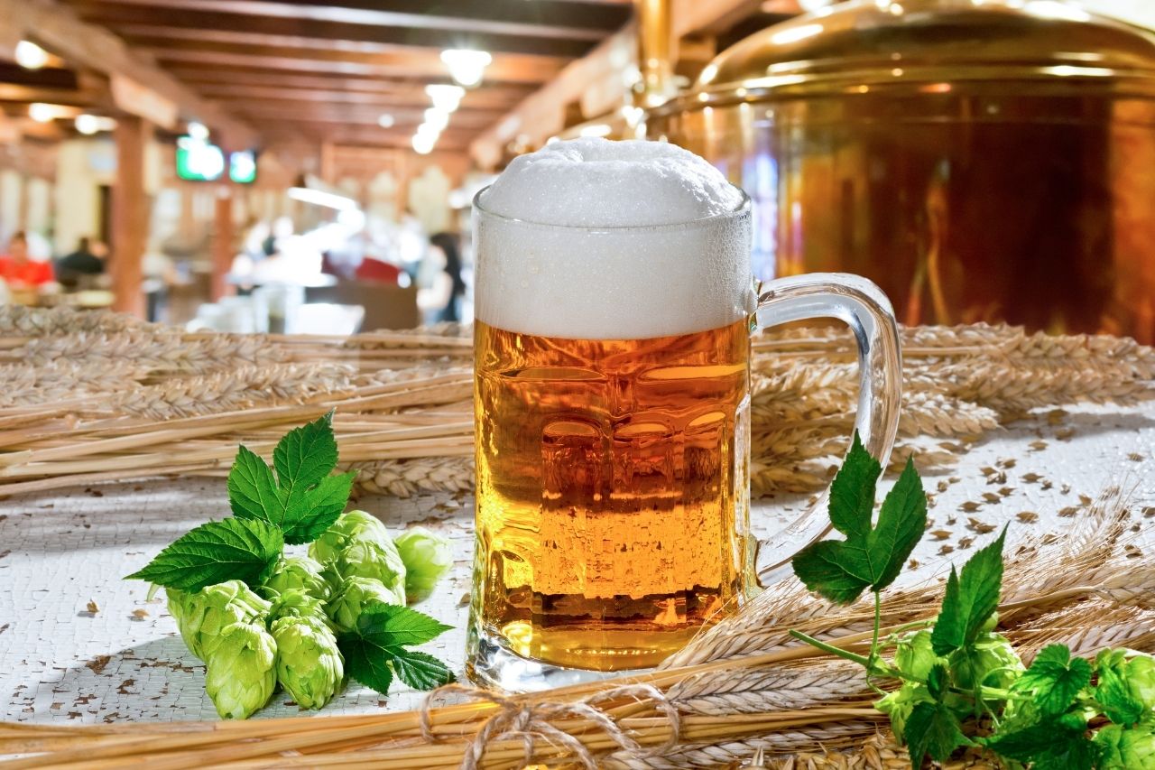 Galaxy Hop Substitute: The Only Guide You Will Ever Need