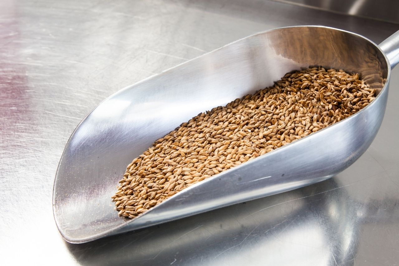 Victory Malt Substitute: A List of the Best Alternatives