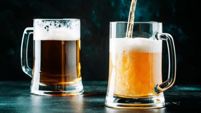 Mixing Beer and Wine: Is This Combination Recommended or Not?