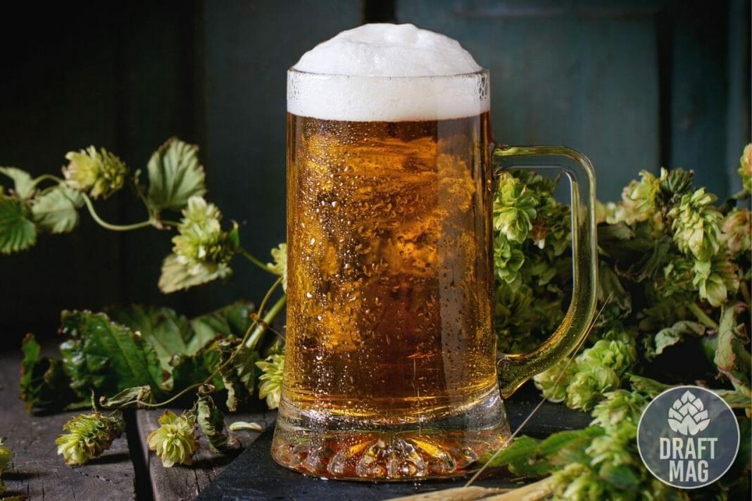 Best Chinese Beer: A Complete Guide to the Best Beers From China