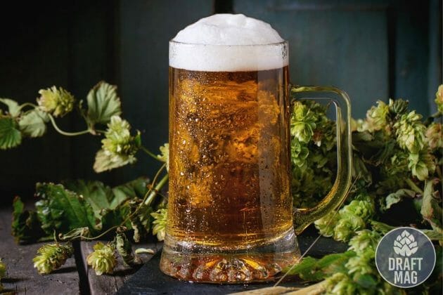 Best Lager Beer: The Most Popular Bottom-fermented Beers To Try