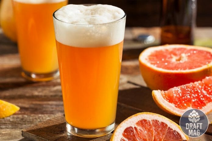 Best Sour Beer: Sweetness and Acidity Packed in a Great Brew — Top Ten