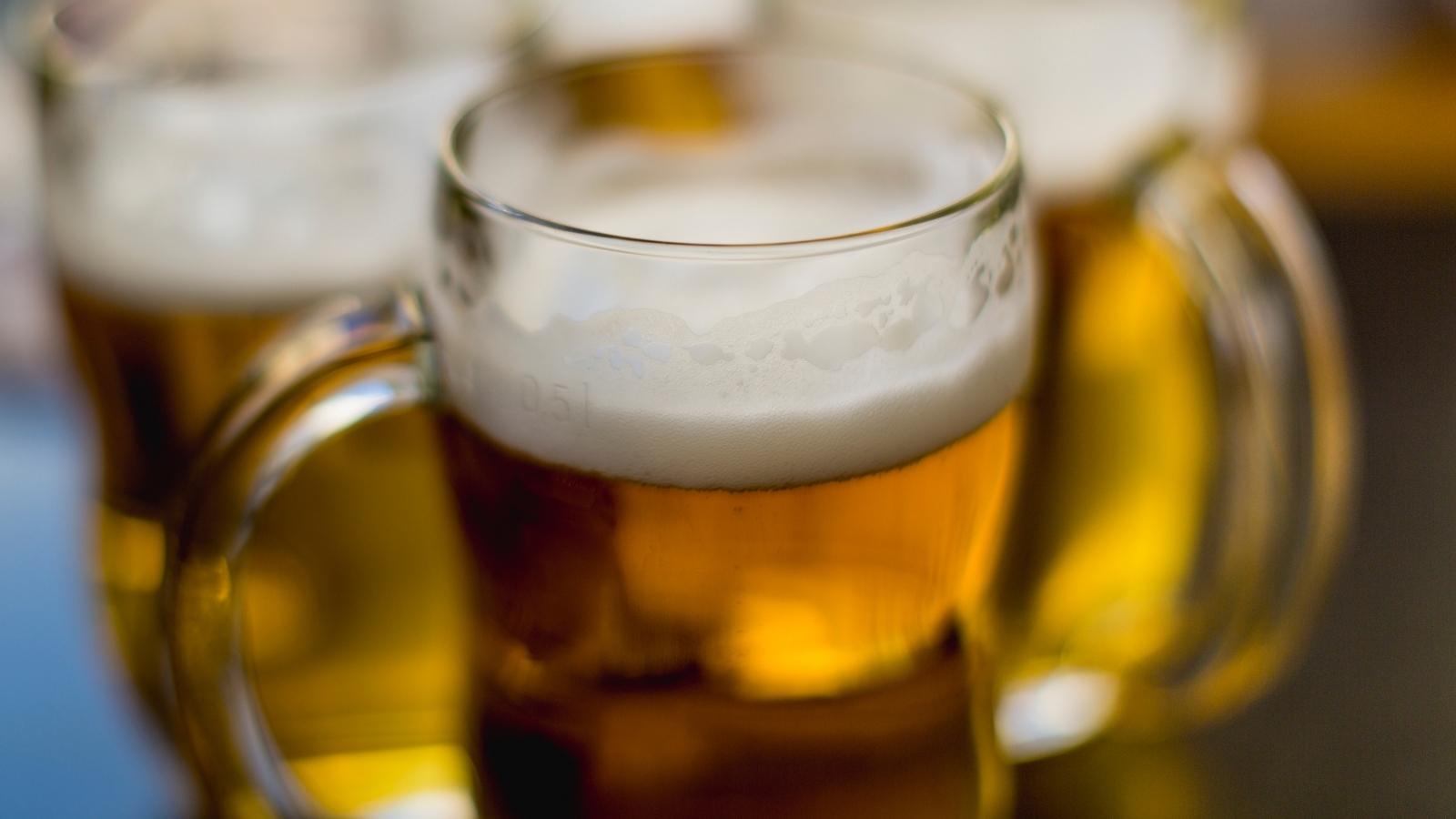 Grolsch Beer Review: Everything You Need to Know About Grolsch Lager