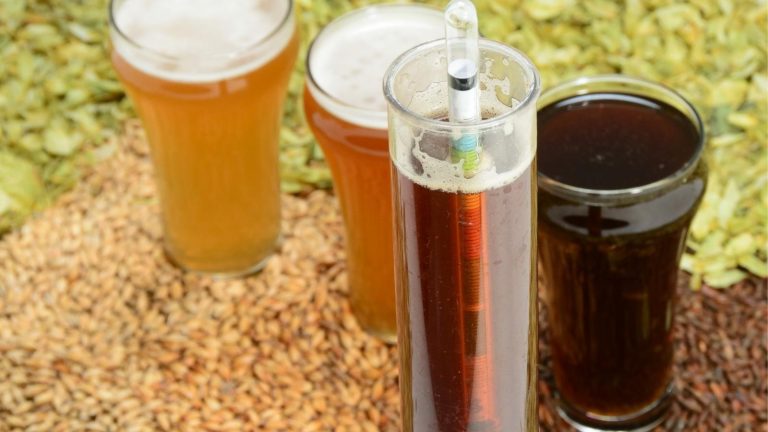 How To Read a Hydrometer: Easy, Comprehensive Guide for Brewing Beer
