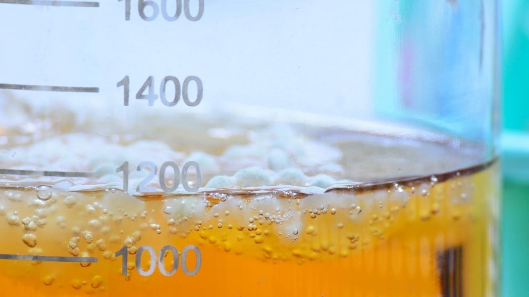 Infected Beer: Identifying and Preventing Homebrew Infection
