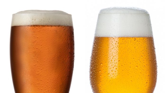 Ale vs Beer: A Complete Guide to Key Differences and Similarities