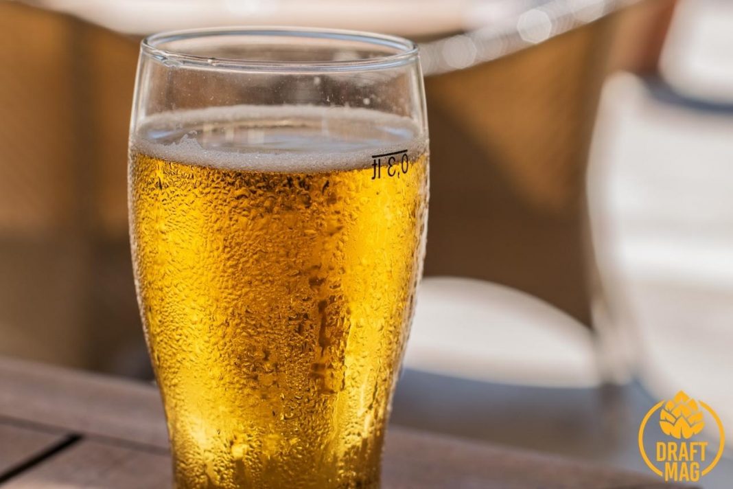 Best Light Beer: Delicious Beers Without the Calories