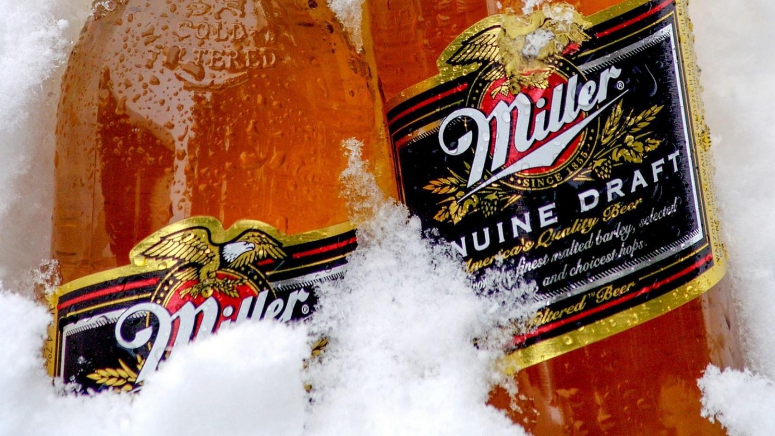 Michelob Ultra vs. Miller Lite: What’s Your Go-to Low-cal Beer?