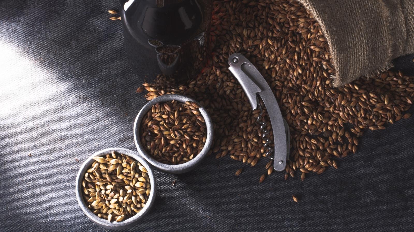 Pilsner Malt vs 2 Row Malt: Comparative Review For These Two Malts