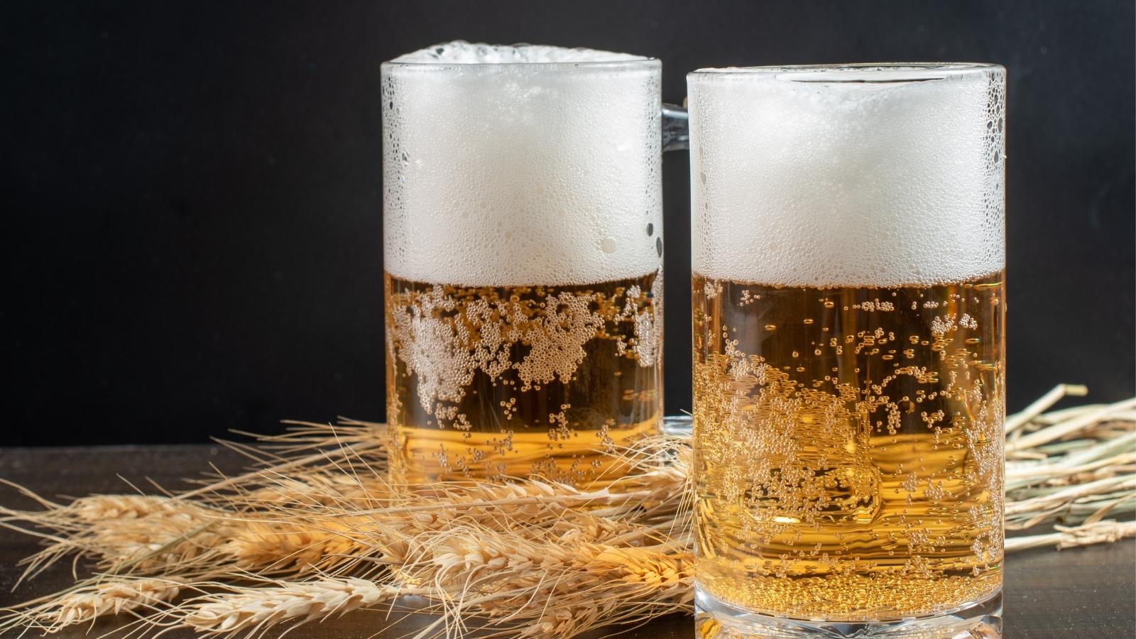 Cider vs Beer: Which Is the More Flavorful and Healthier Option?