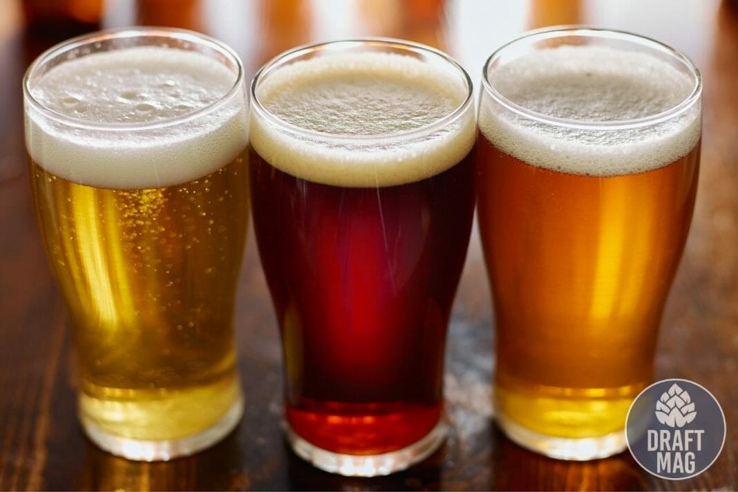 What Is an Imperial IPA? Everything You Need To Know About This Beer