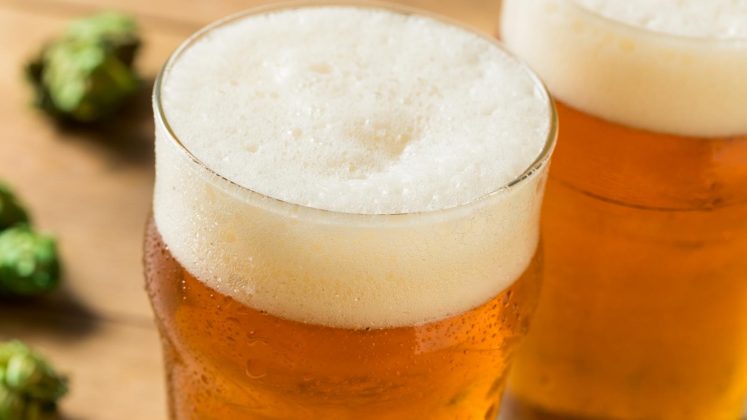 Ipa vs Beer: A Guide to the Differences of IPA From Other Beers