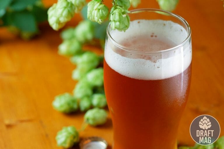 Best IPA Beer: Top 5 IPA Beers To Enjoy This Season
