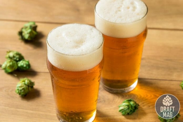 Best IPA Beer: Top 5 IPA Beers To Enjoy This Season