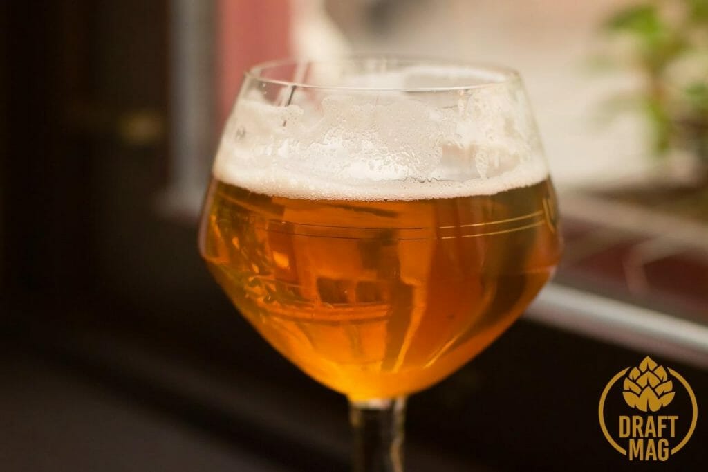 Best Pilsner Beer: A Complete Guide to the Top Pilsner Beers