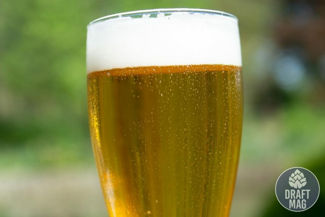 Mixing Beer and Wine: Is This Combination Recommended or Not?