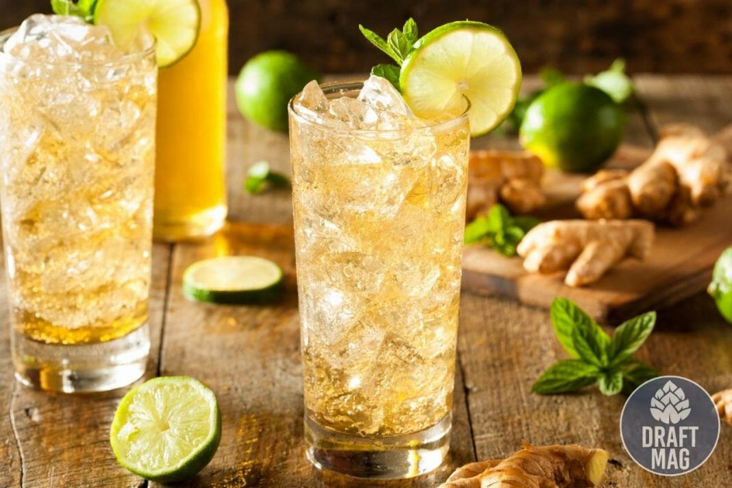 Best Ginger Beer: 10 Best Brands To Make a Moscow Mule or Spicy Drink