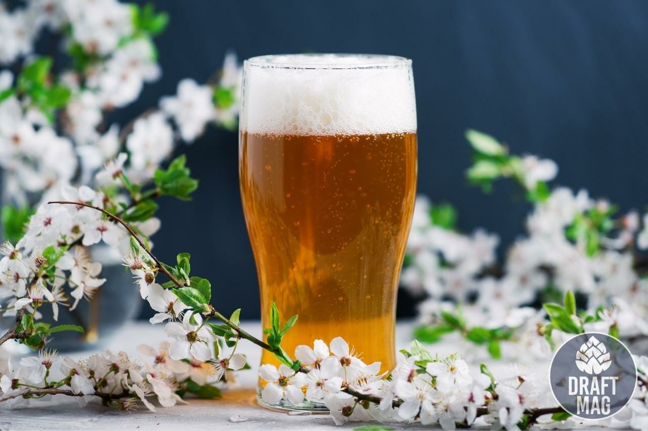 Low Calorie IPA: A Guide to the Top Choices That Still Taste Great