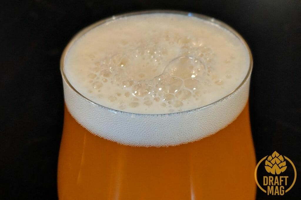 Best IPA Beer: Top 5 IPA Beers To Enjoy This Season