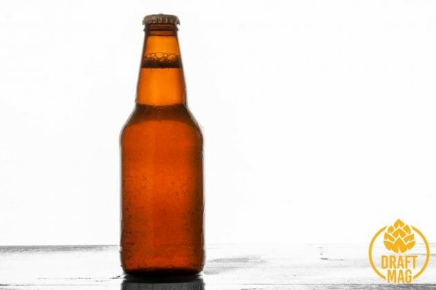 Lagunitas IPA Review: Everything To Know About This Classic IPA