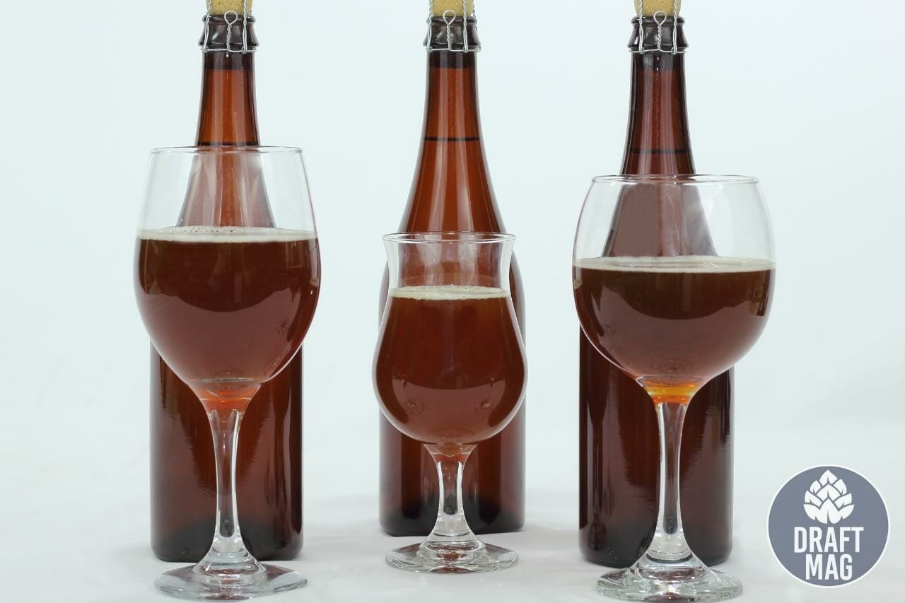 Best Sour Beer: Sweetness and Acidity Packed in a Great Brew — Top Ten