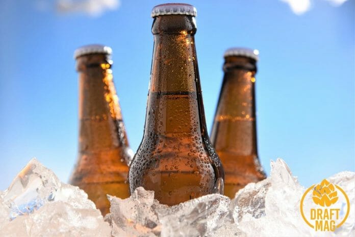 Michelob Ultra Review: A Guide to This Popular Low-carb Beer