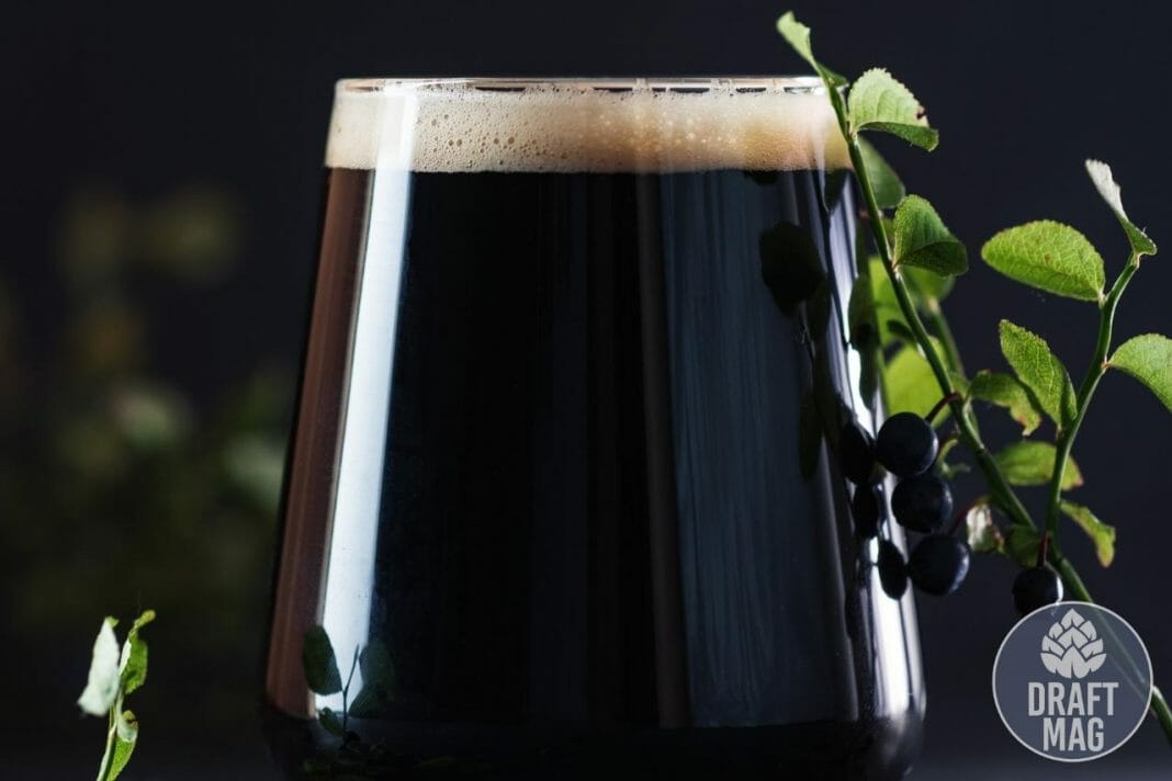 Best North Carolina Beer: A Detailed Review Guide for NC Beers