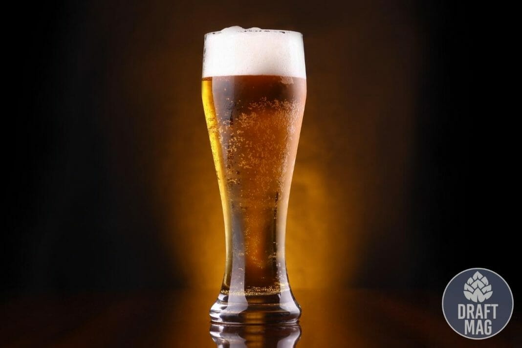 Best Polish Beer: A Complete Guide to the Best Polish Brews