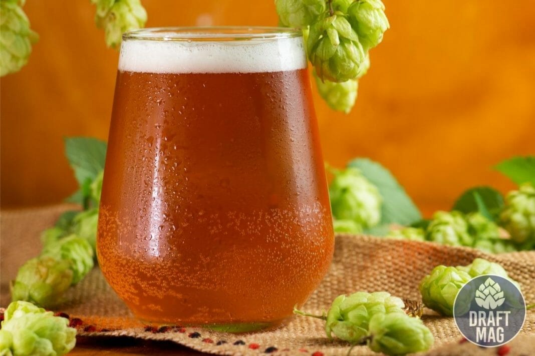 West Coast IPA Recipe: The Hoppiest Brewed Beer in the World