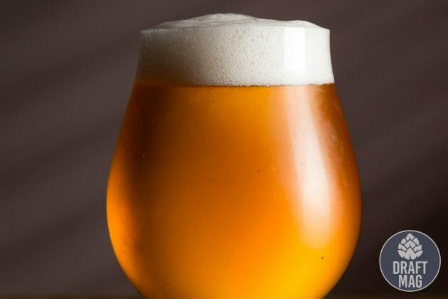 West Coast IPA Recipe: The Hoppiest Brewed Beer in the World