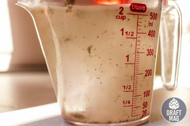 Rehydrating Dried Yeast: How To Rehydrate Dried Yeast Properly