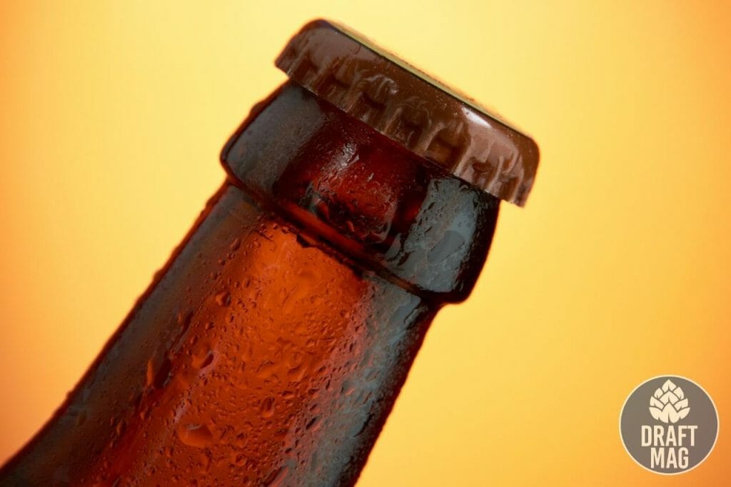 New Belgium Trippel: A Complete Review of This Belgian-style Beer