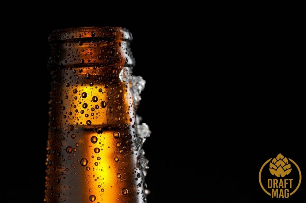 Troegs Perpetual IPA: Review of a World Class Beer With a Fine Touch