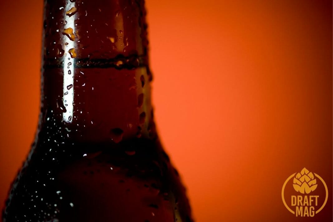 New Belgium Trippel: A Complete Review of This Belgian-style Beer