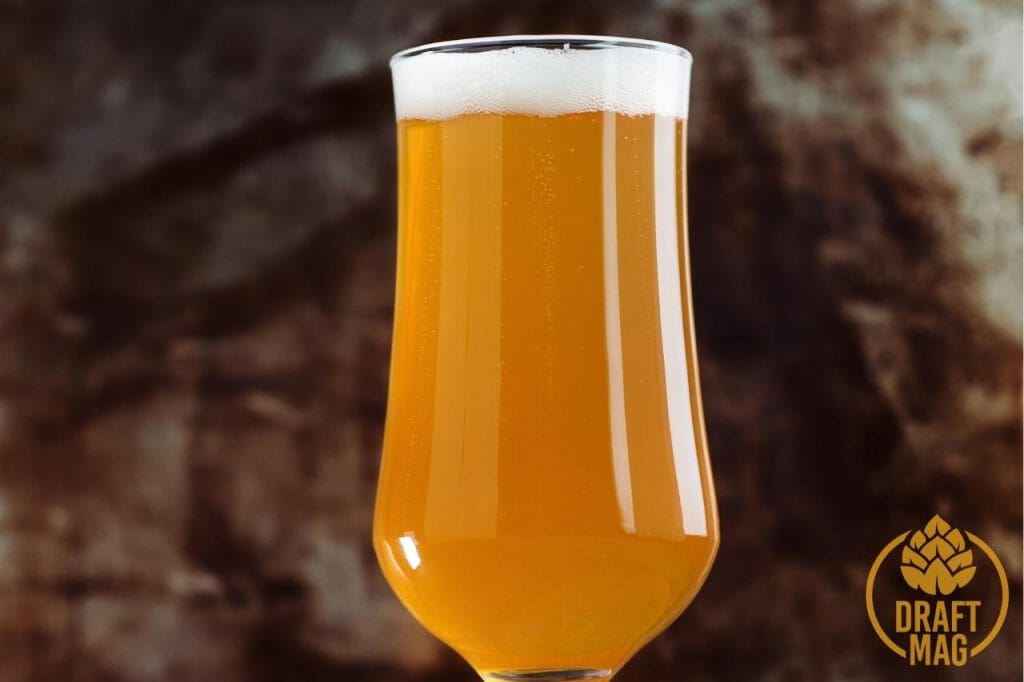 Focal Banger: A Thorough Review of This Banging American IPA