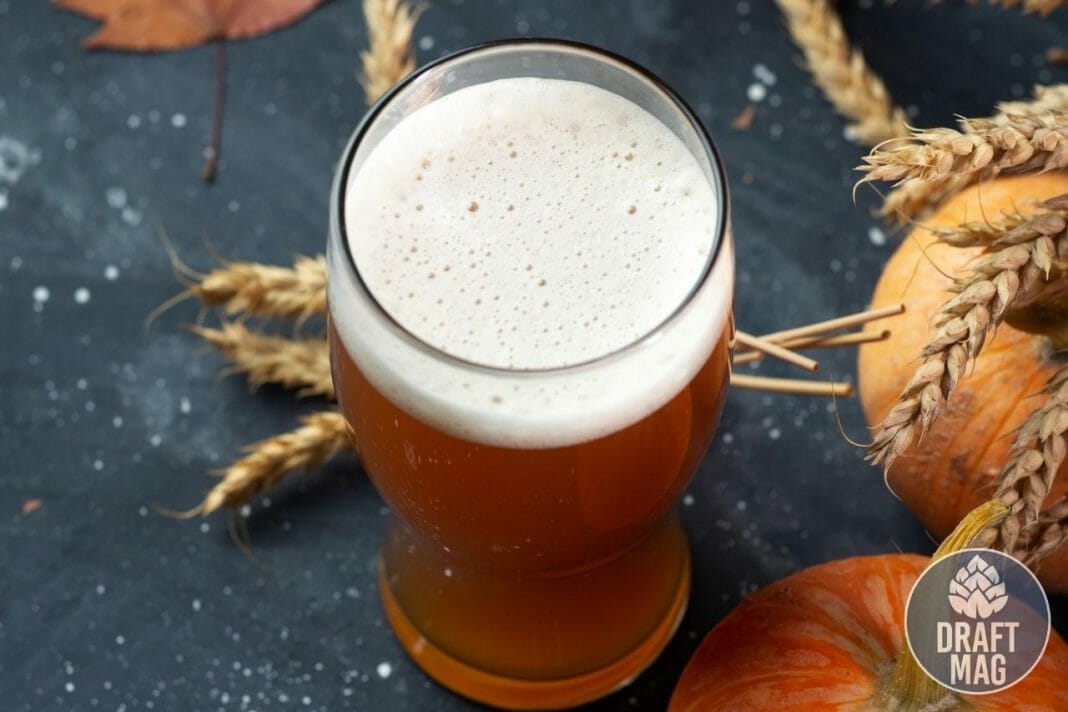 Best Beer for Thanksgiving: A Guide to the Must-try Holiday Beers