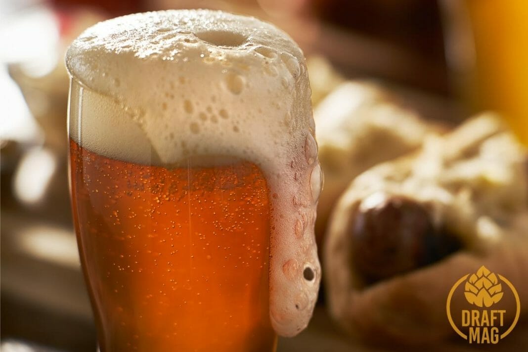 Best Low Calorie IPA: A Detailed Guide to Ales With the Least Calories