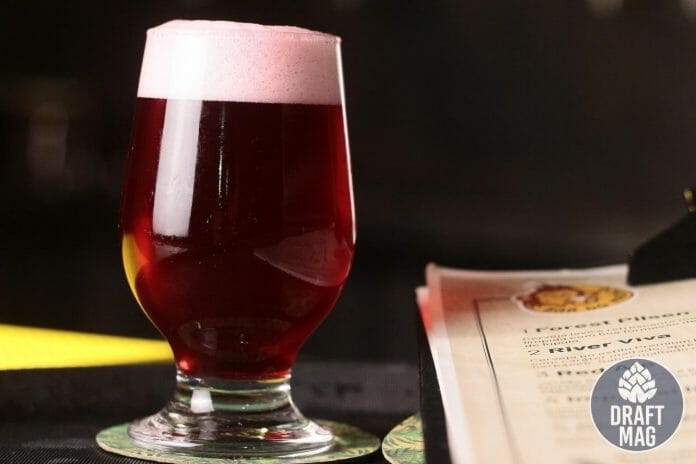 Best Red Beer: Unveiling the Top-rated Red Beers in the Market