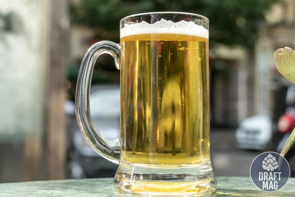 Beer Glass Types: A Detailed Guide to All the Different Beer Glasses