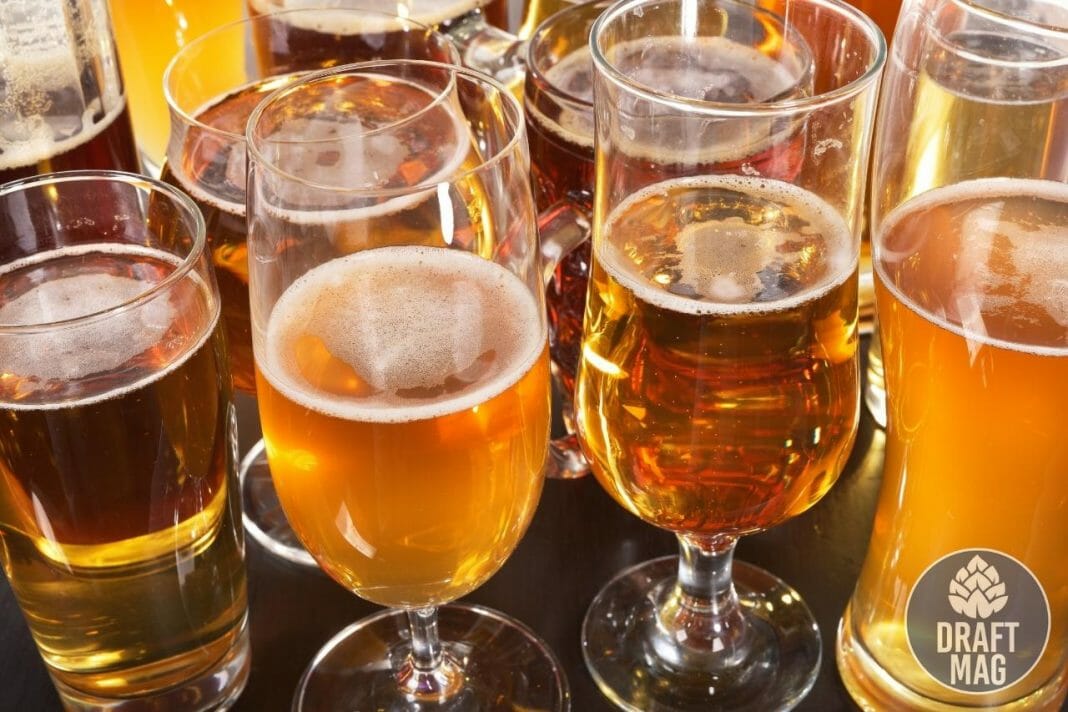 Beer Glass Types: A Detailed Guide to All the Different Beer Glasses