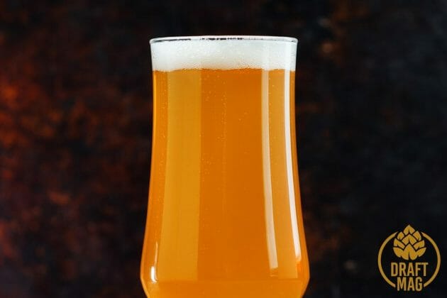 Natty Daddy Beer: A Review of This Malty Light Beer From AB InBev