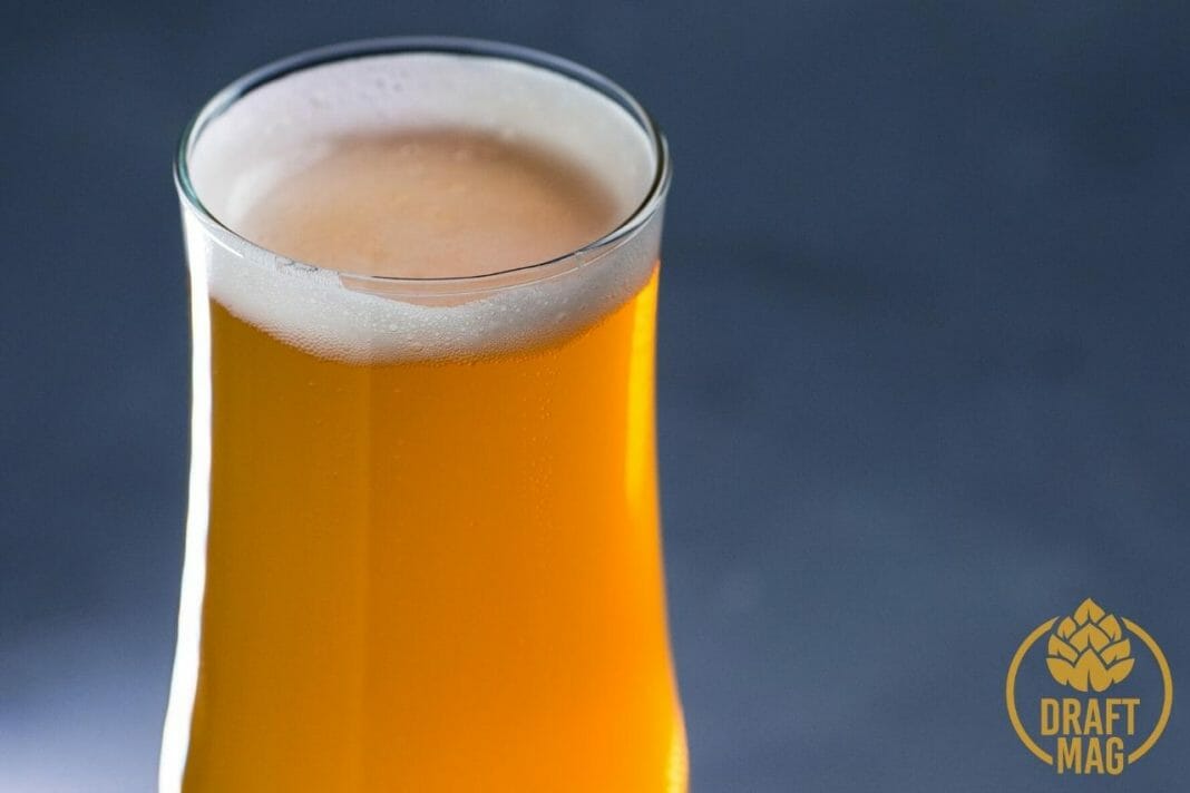 Fremont Lush IPA: A Complete Review of the Most Famous IPA of Seattle