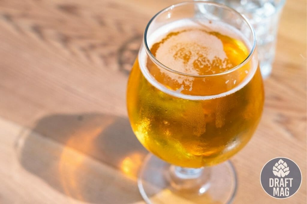 Honey Beer Recipe: A Complete Guide To Brewing Beer With Honey