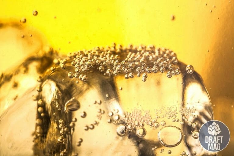 What Is Ice Beer: How To Make This Beer and the Best Brand Choices