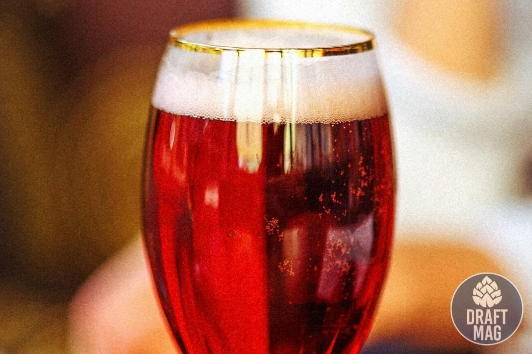 Lambic Beer: Everything You Need To Know About This Belgian Style Beer