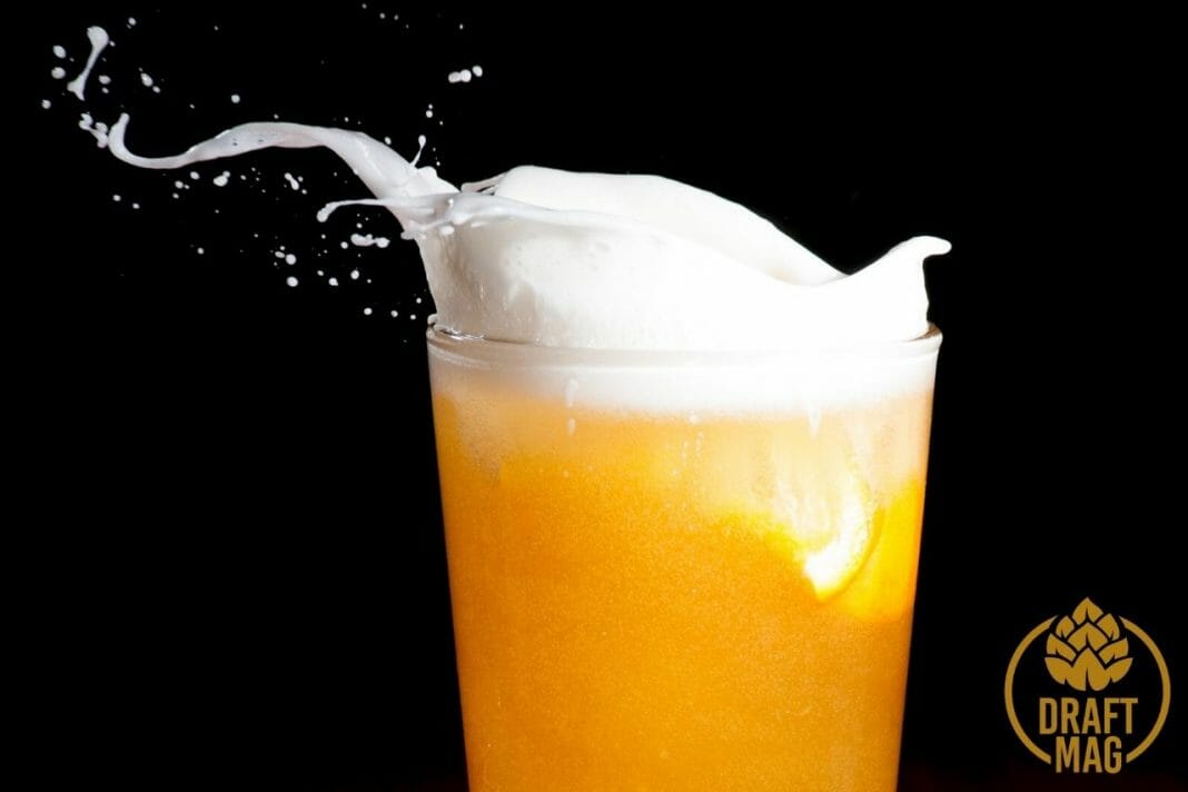 Tangerine Space Machine: The IPA From the New Holland Brewing Company