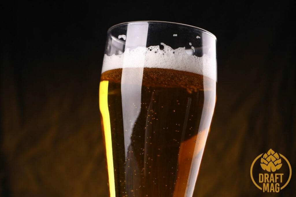 Electric Jellyfish IPA: A Review of the Top Beer for All Hop Heads